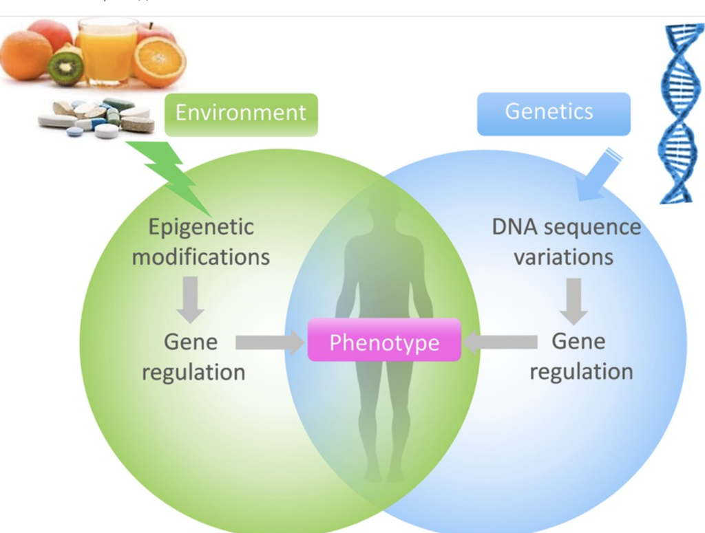 EPIGENETICS — https://regmed.ca